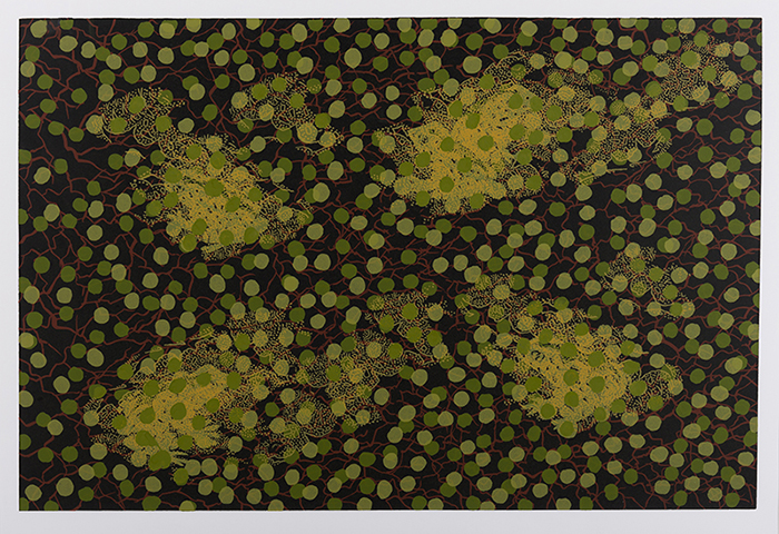 Lin Onus: Classic and Experimental Prints | Leonard Joel Auctions