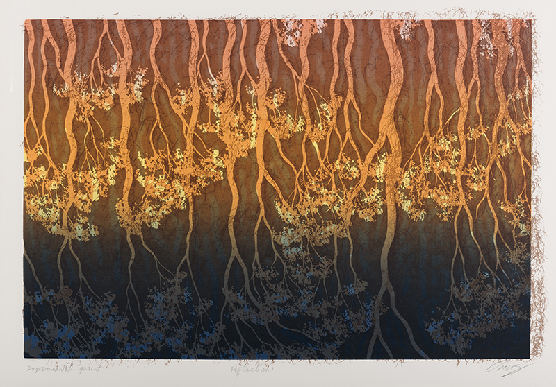 Lin Onus: Classic and Experimental Prints | Leonard Joel Auctions