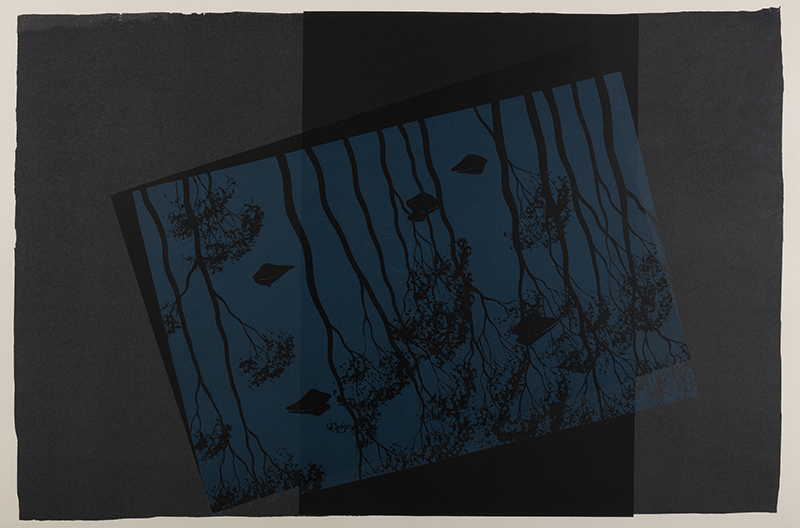 Lin Onus: Classic and Experimental Prints | Leonard Joel Auctions