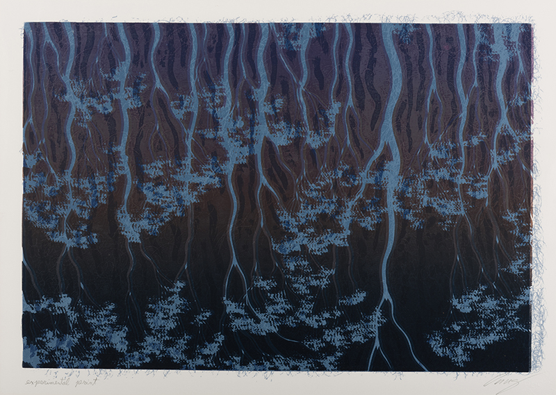 Lin Onus: Classic and Experimental Prints | Leonard Joel Auctions